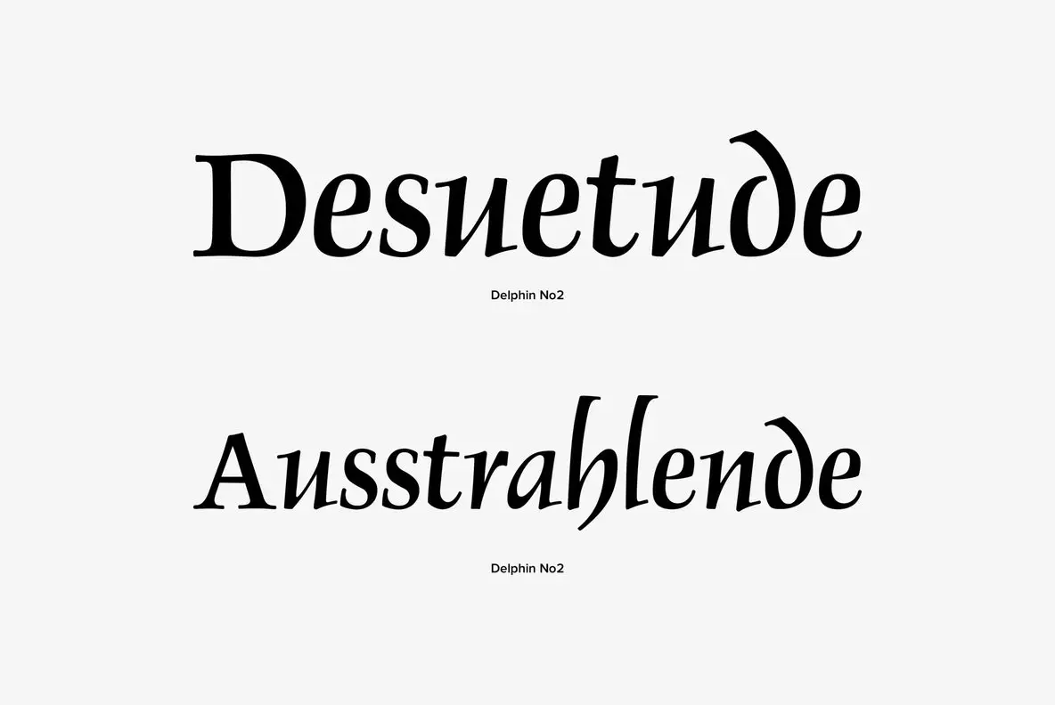 Delphin No 2 Font - YouWorkForThem