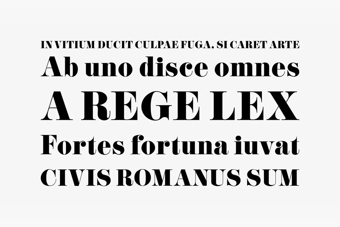 Didoni Font - YouWorkForThem