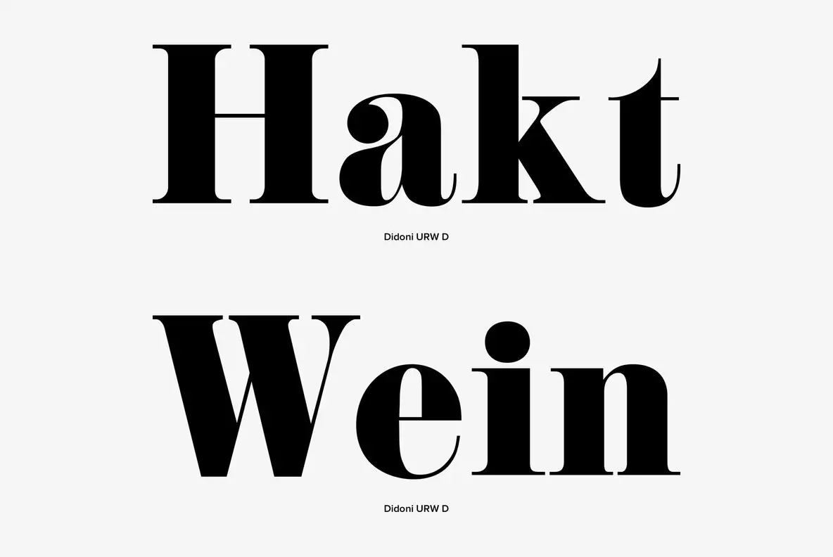 Didoni Font - YouWorkForThem