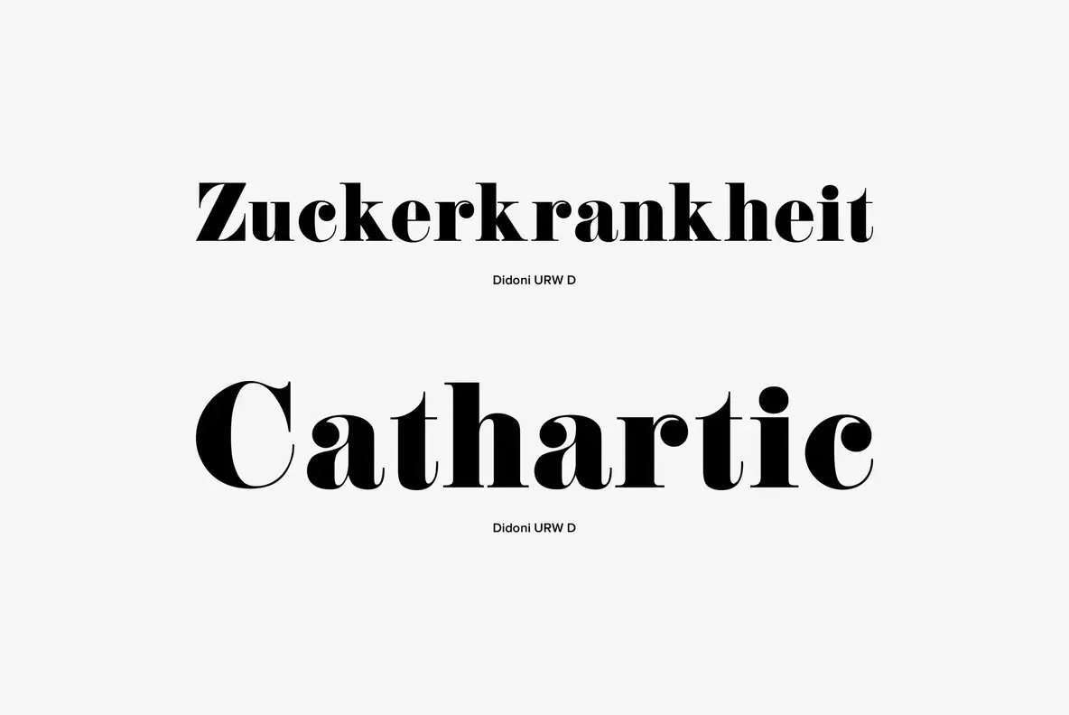 Didoni Font - YouWorkForThem