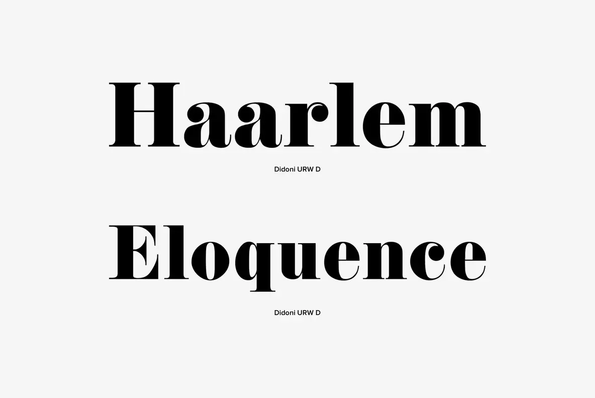 Didoni Font - YouWorkForThem
