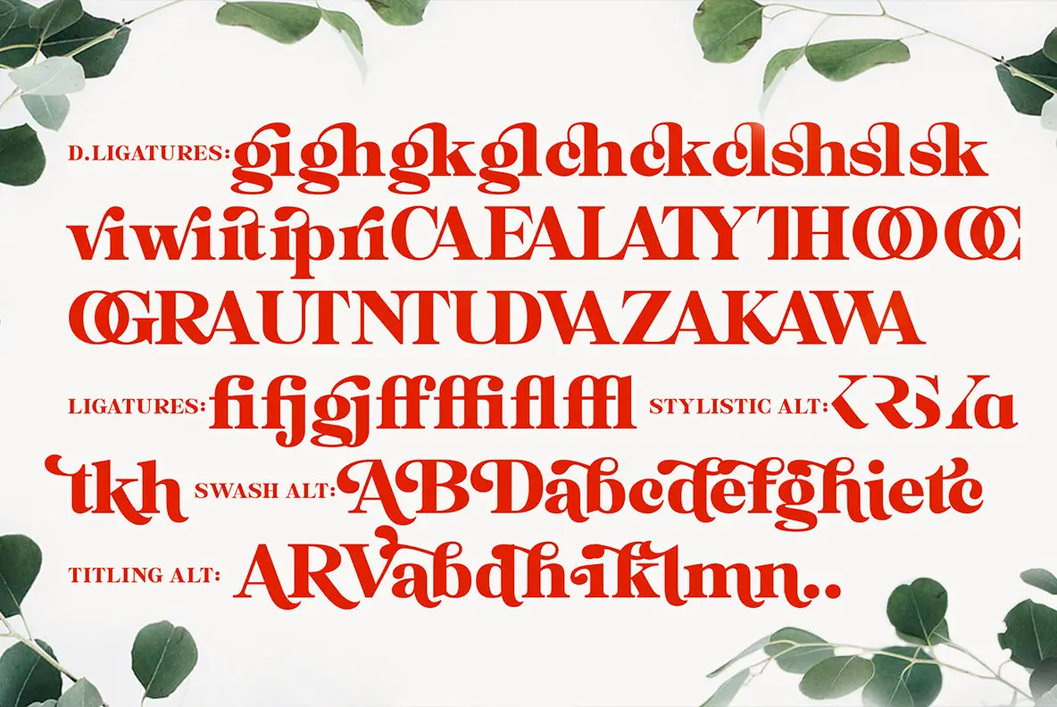 Felicity Font - YouWorkForThem