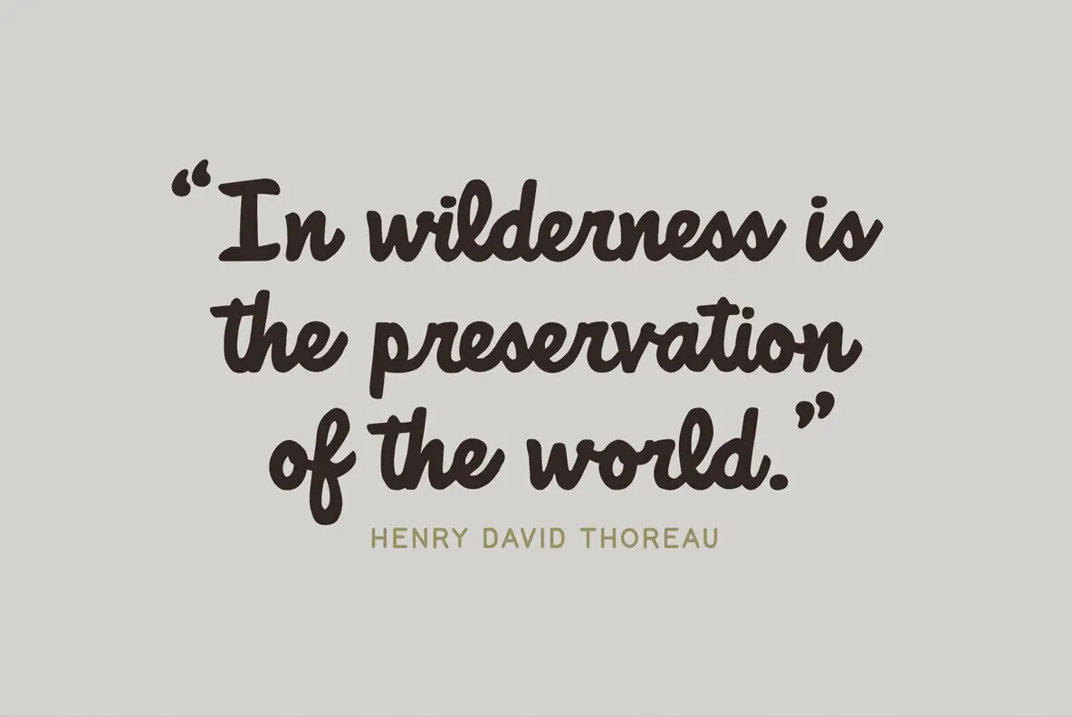 National Forest Font Duo Font - FontPath