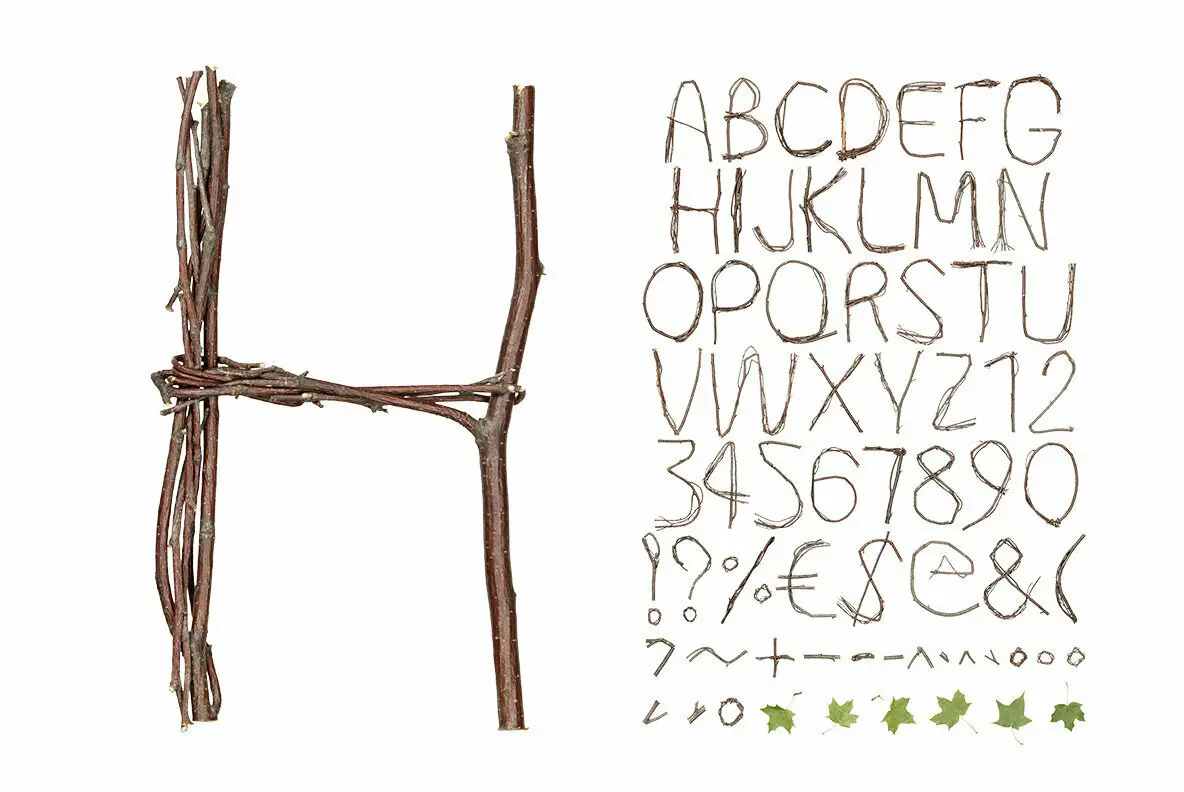 Twigs SVG Font Font - FontPath