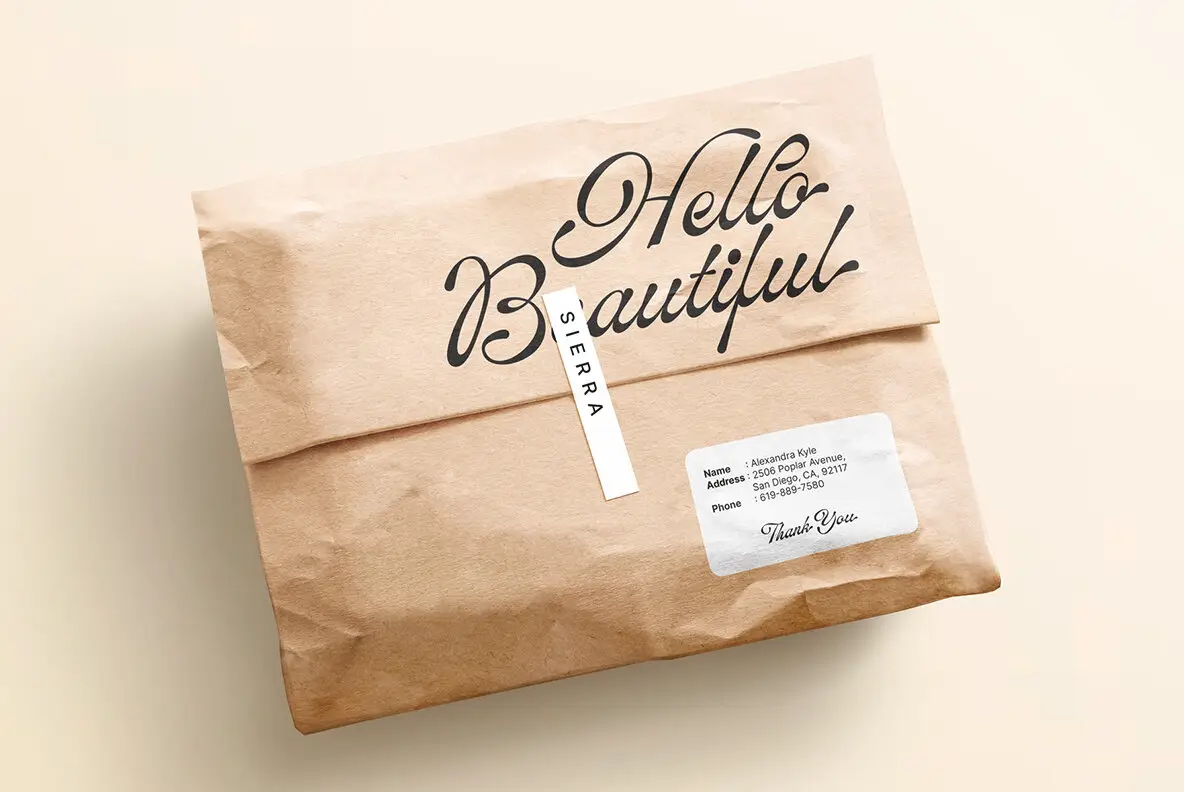 Ed Lavonia Font: Crafting Timeless Narratives in Letters - YouWorkForThem