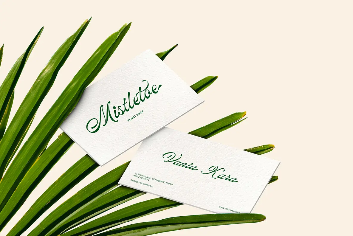 Ed Lavonia Font: Crafting Timeless Narratives in Letters - YouWorkForThem