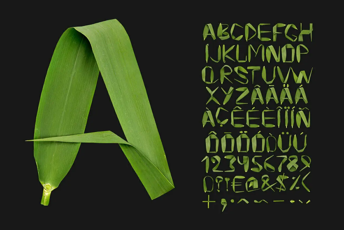 Reed SVG Font - YouWorkForThem