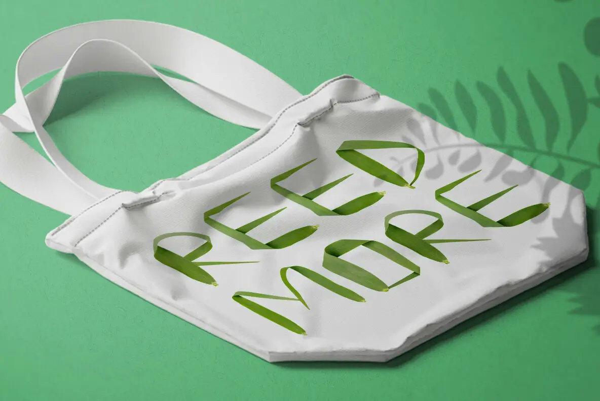 Reed SVG Font Font - FontPath