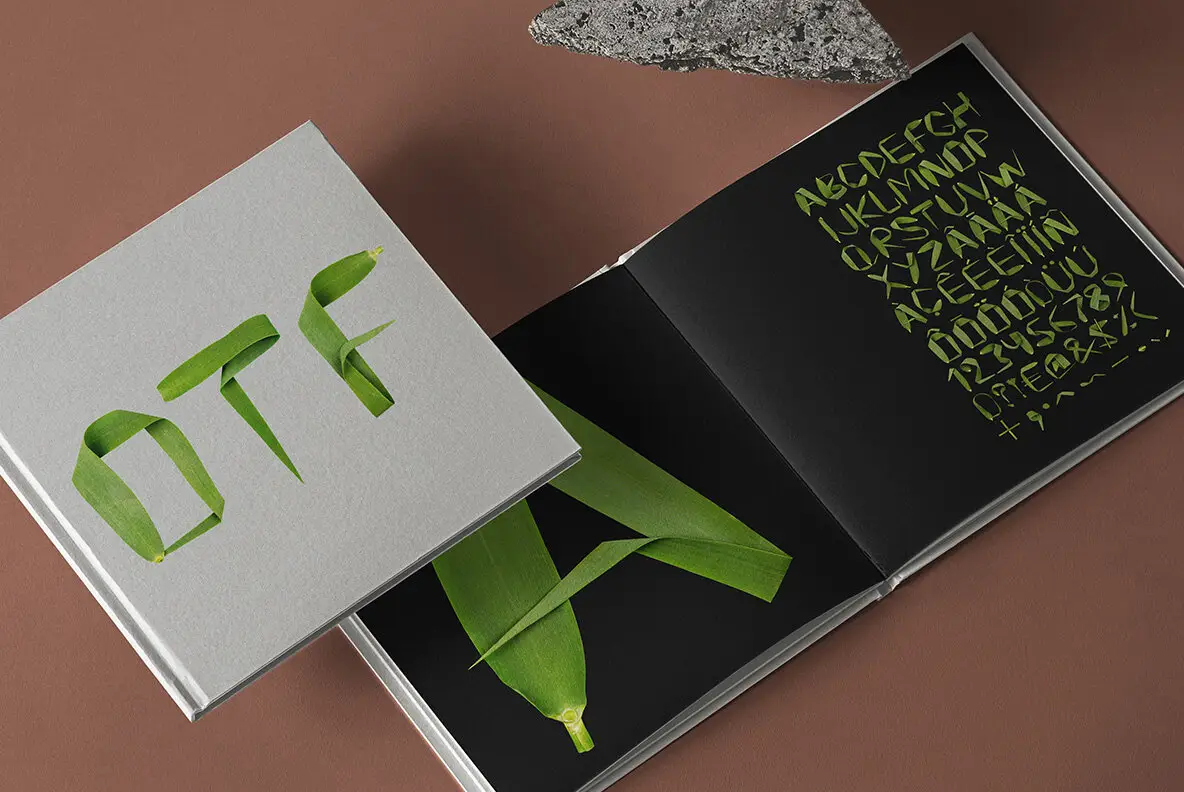 Reed SVG Font - YouWorkForThem