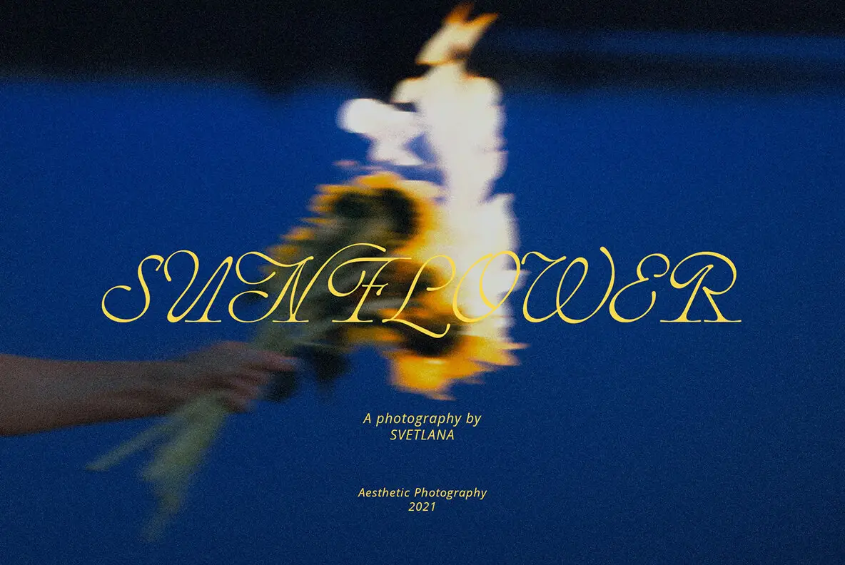 ED Phoebe Font - YouWorkForThem