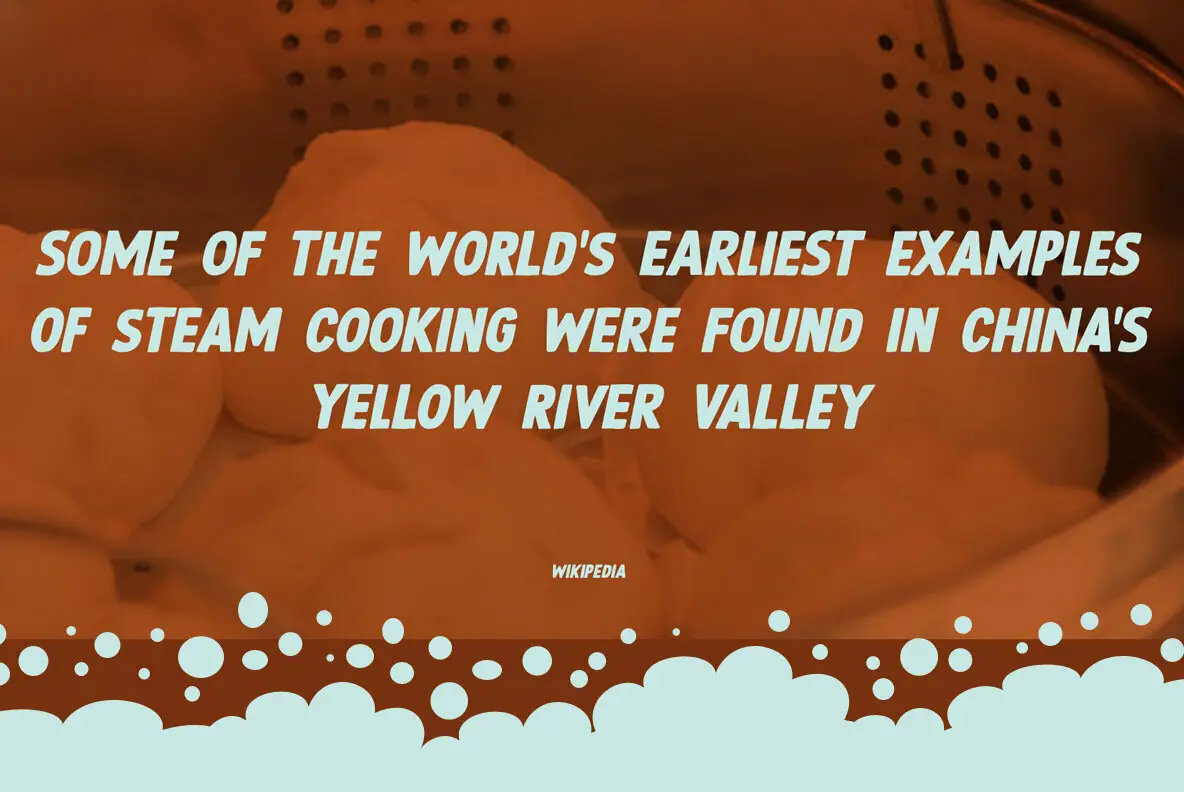 Steamed Font - YouWorkForThem