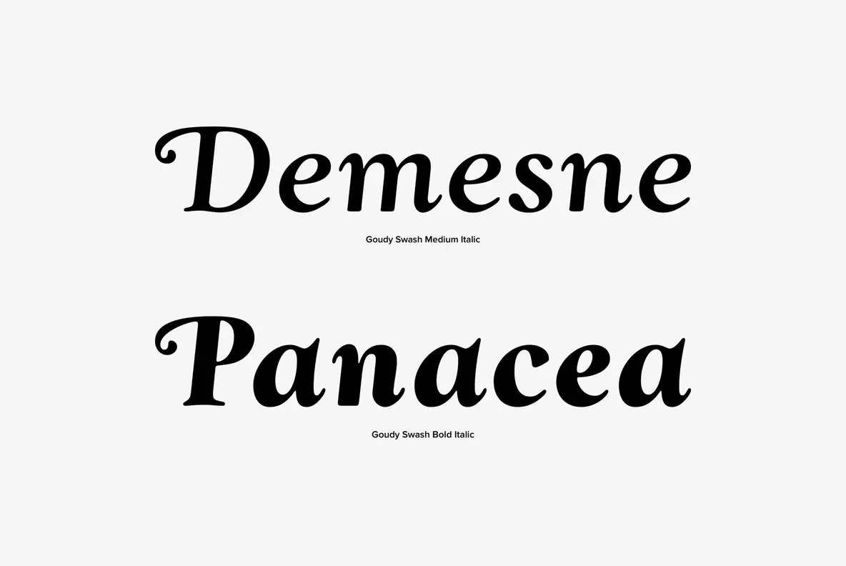 WTC Goudy Swash Font - YouWorkForThem