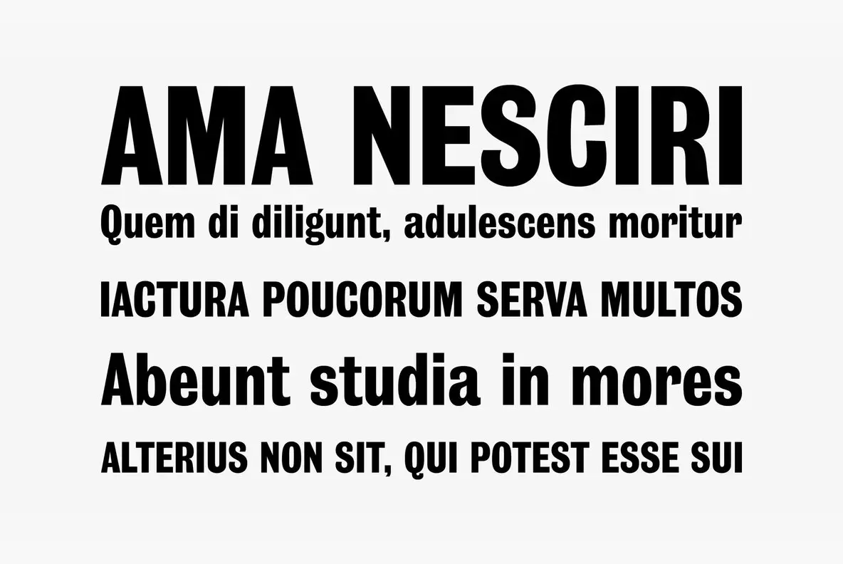 Grotesque No 9 Font - YouWorkForThem