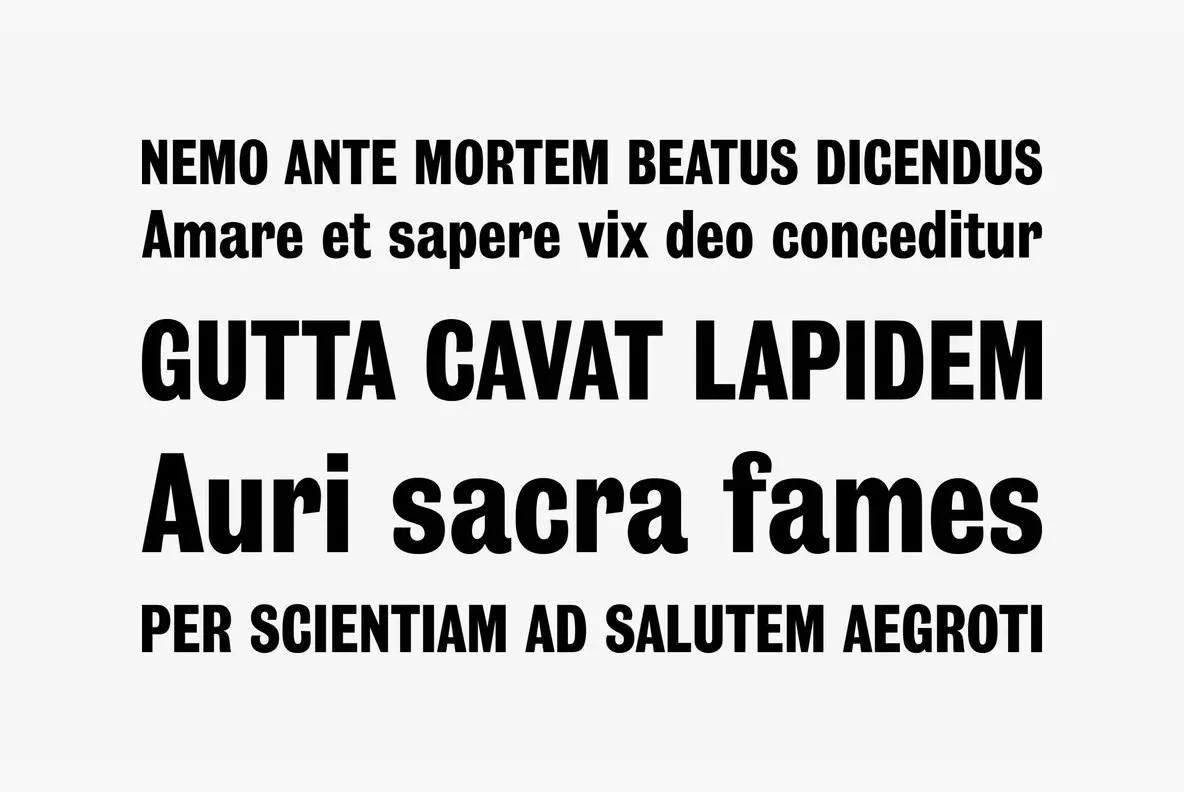 Grotesque No 9 Font - YouWorkForThem