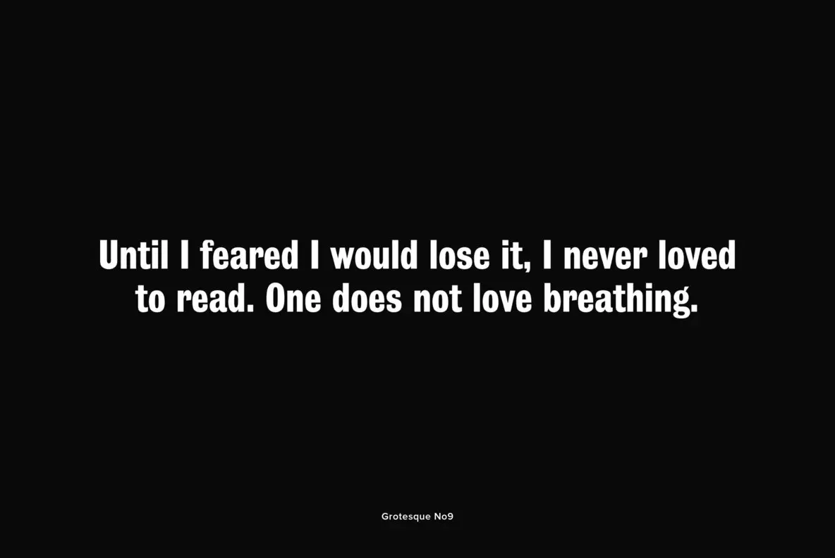 Grotesque No 9 Font - YouWorkForThem