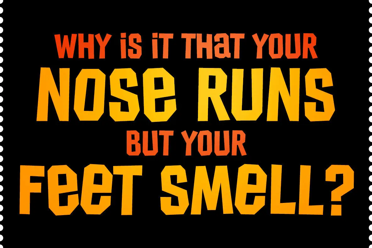 Goondocks PB Font - YouWorkForThem