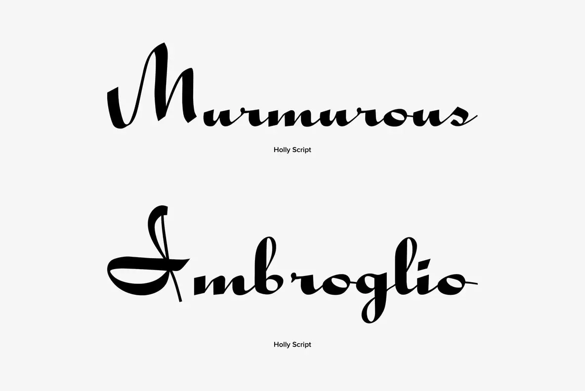 Holly Script Font - FontPath