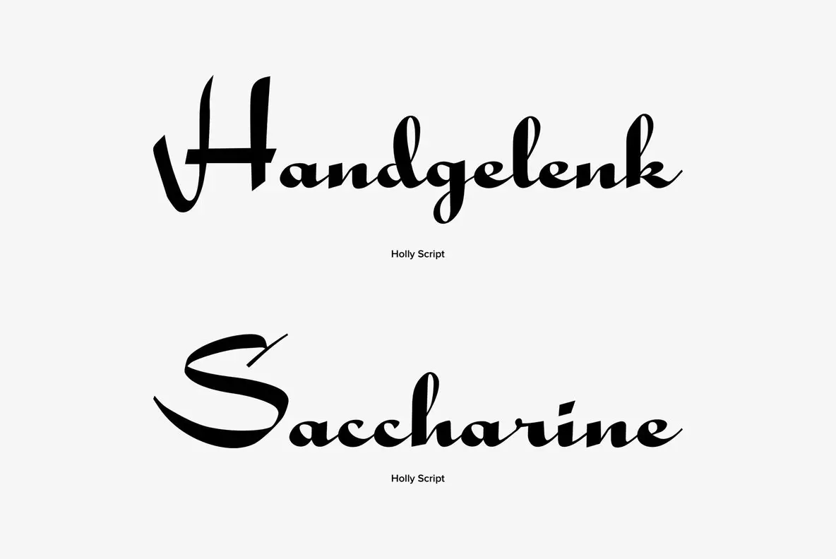 Holly Script Font - FontPath
