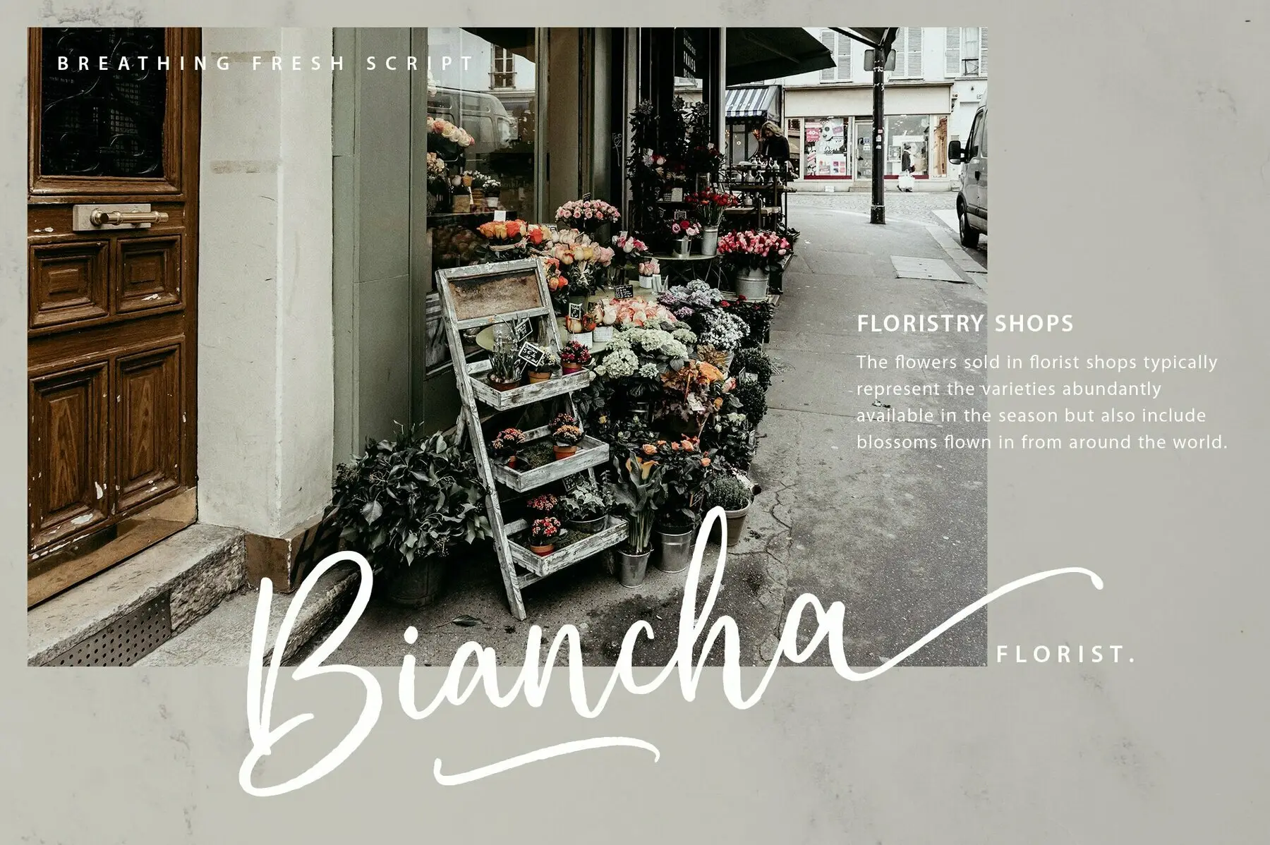 Breathing Fresh Script Font - FontPath