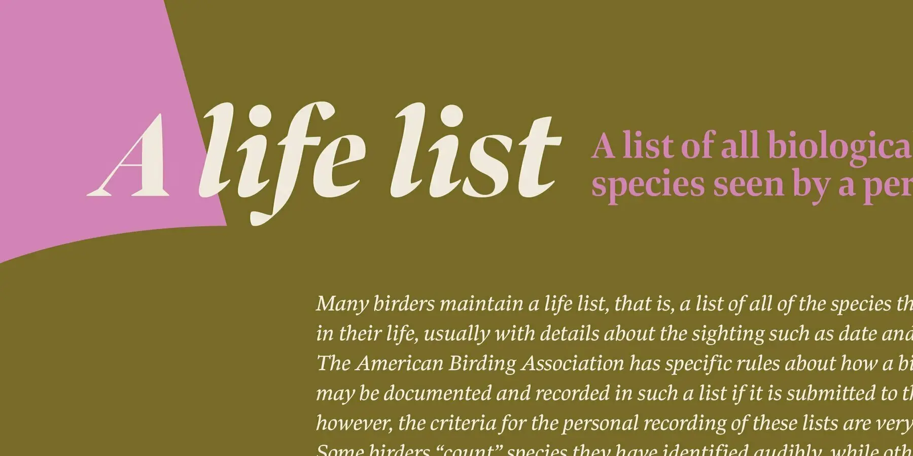 Bennet Text Font - YouWorkForThem