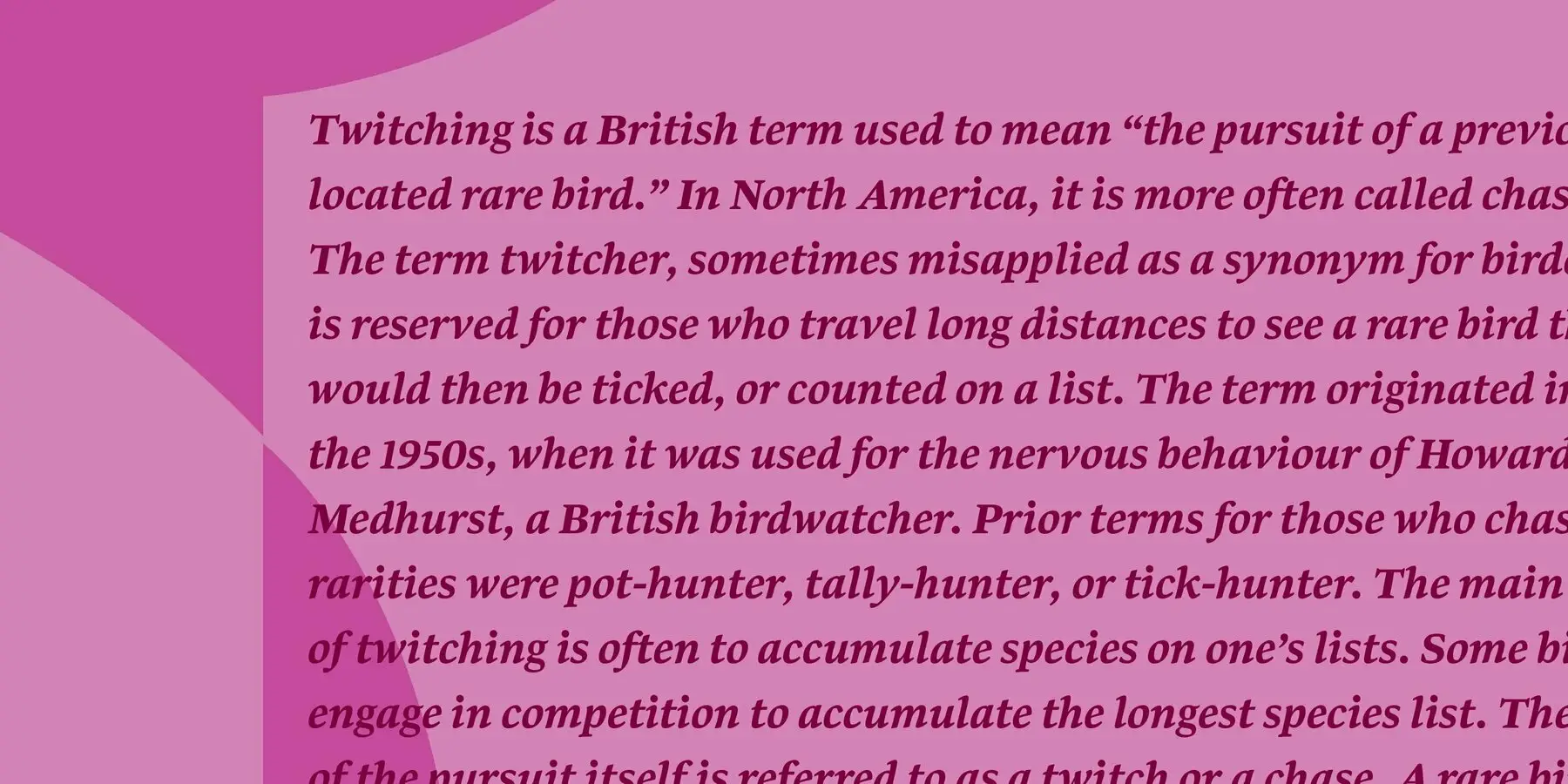 Bennet Text Font - YouWorkForThem