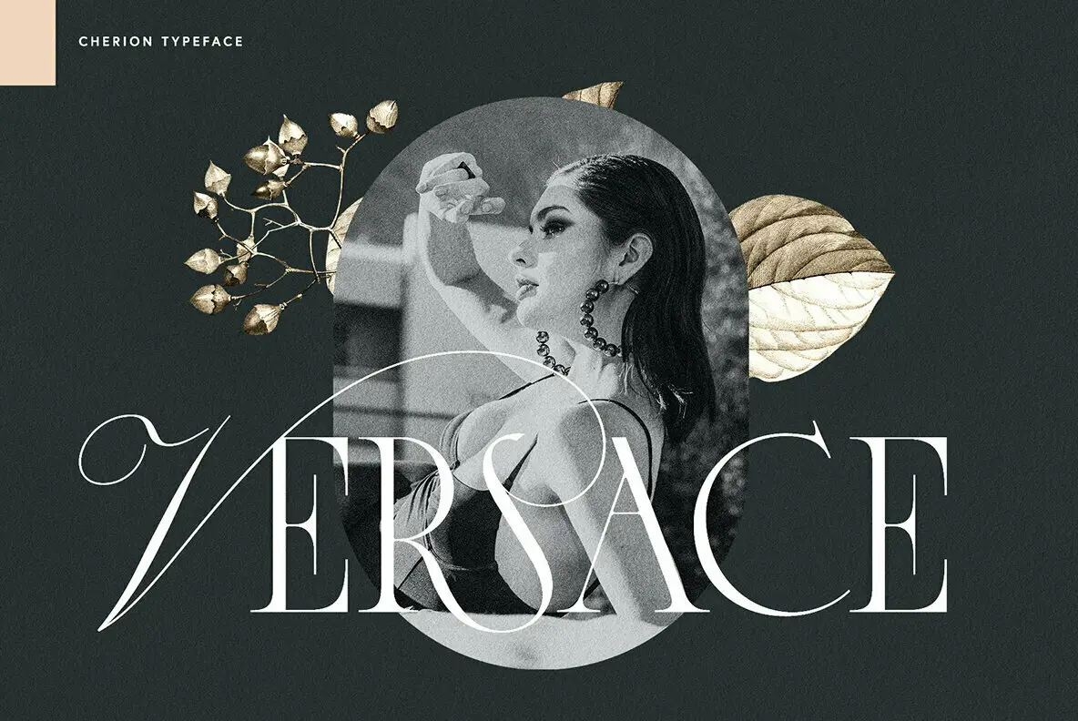 Cherion Typeface Font - YouWorkForThem