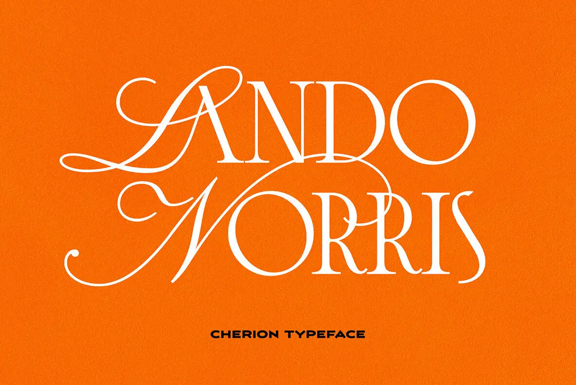 Cherion Typeface Font - YouWorkForThem