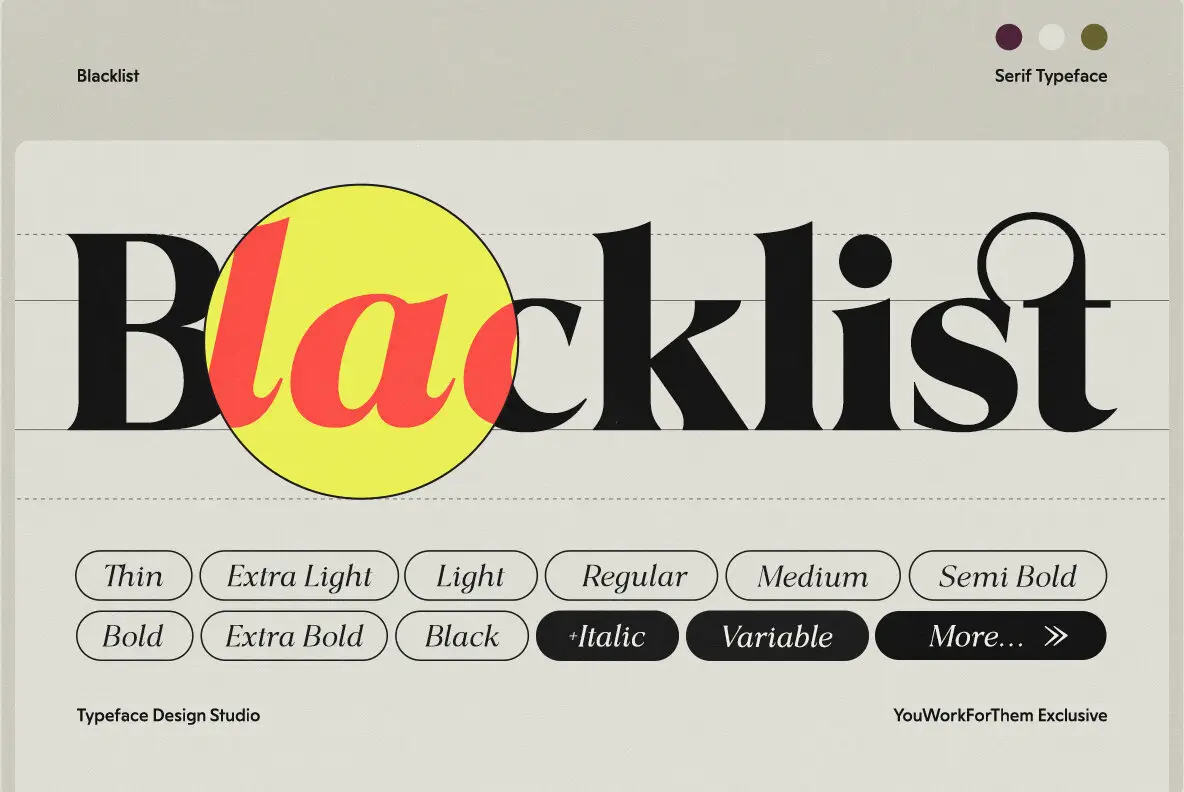 Blacklist Serif Family Font - YouWorkForThem
