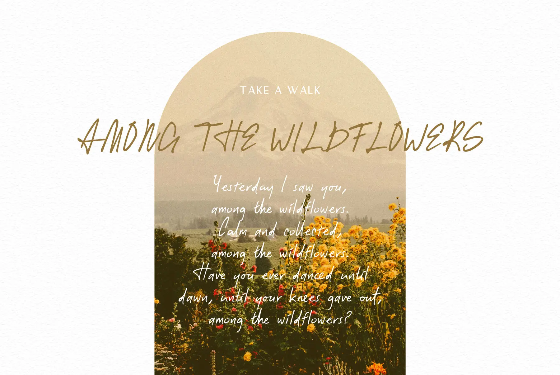 Marina Script Font - YouWorkForThem