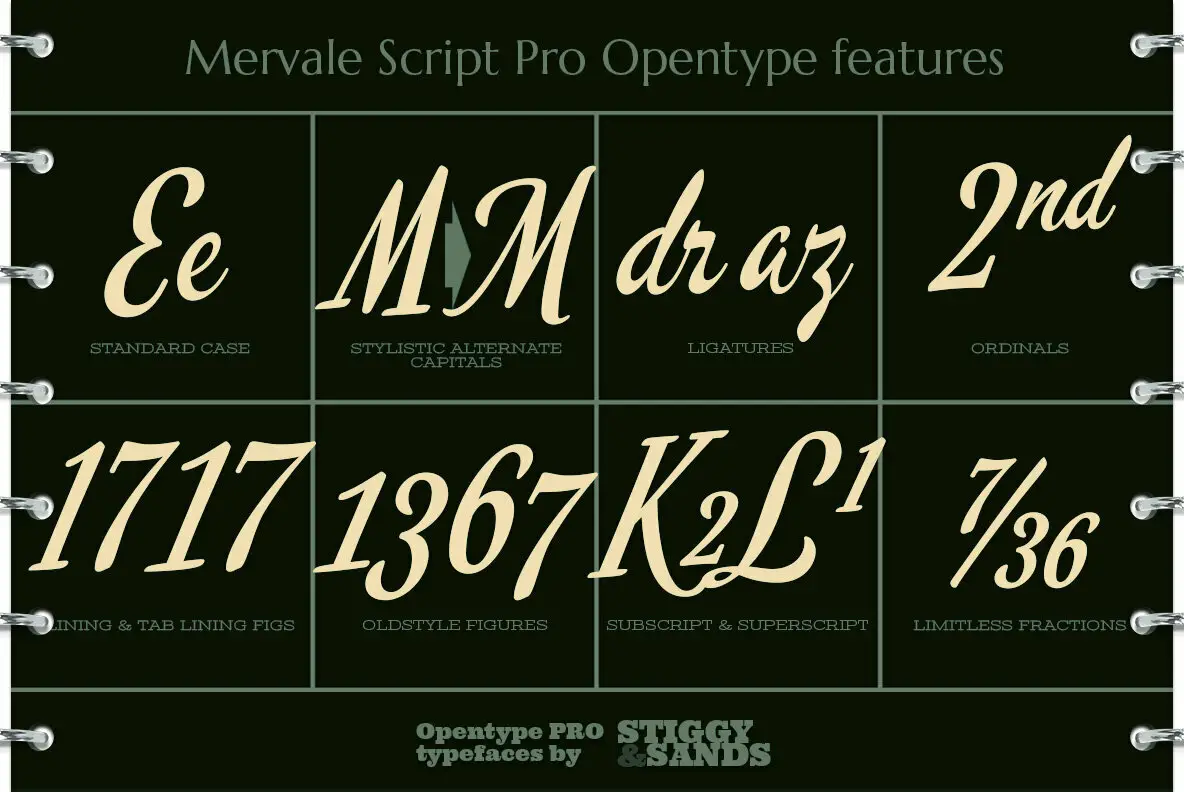 Mervale Script Pro Font - YouWorkForThem