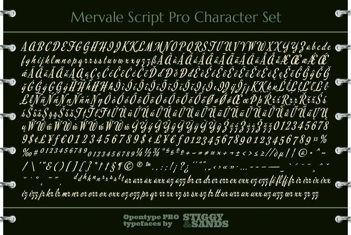 Mervale Script Pro Font - YouWorkForThem