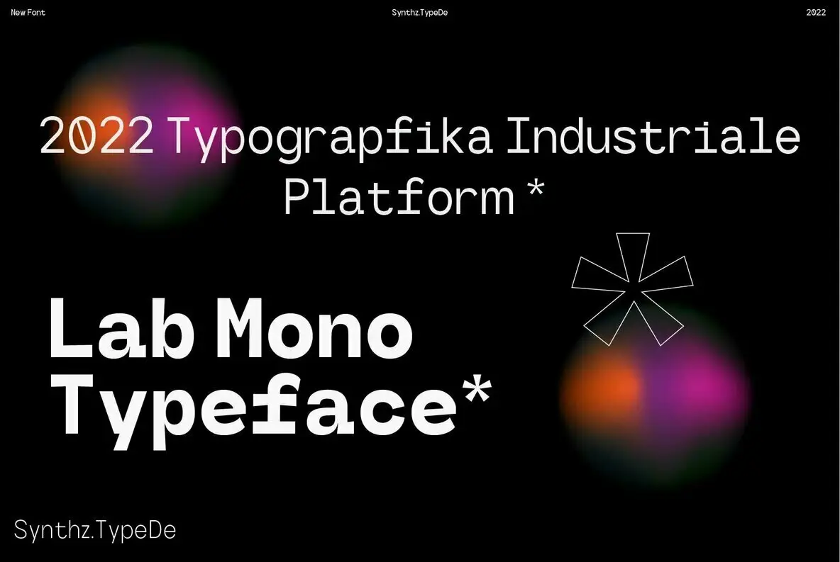 Lab Mono Font - YouWorkForThem