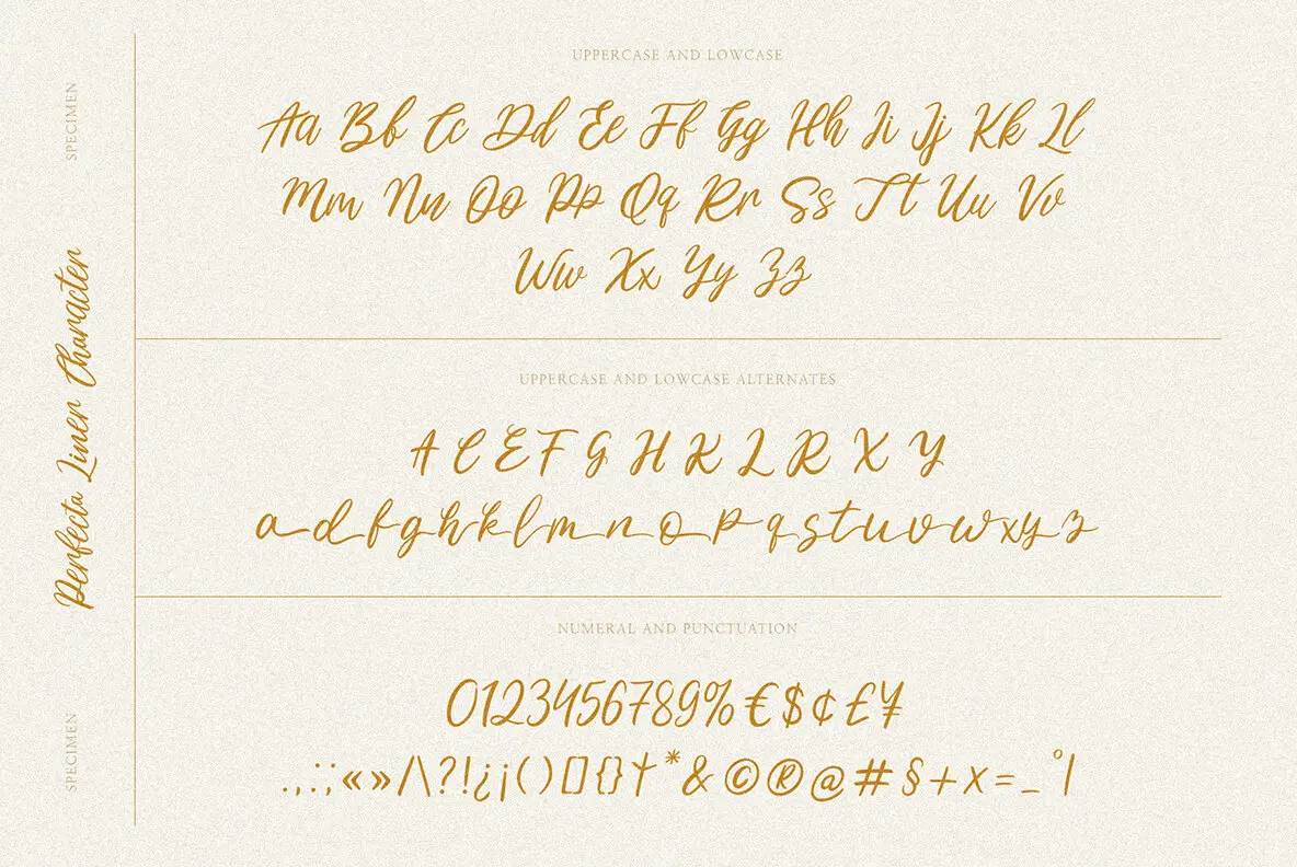 Perfecta Liner Font - YouWorkForThem