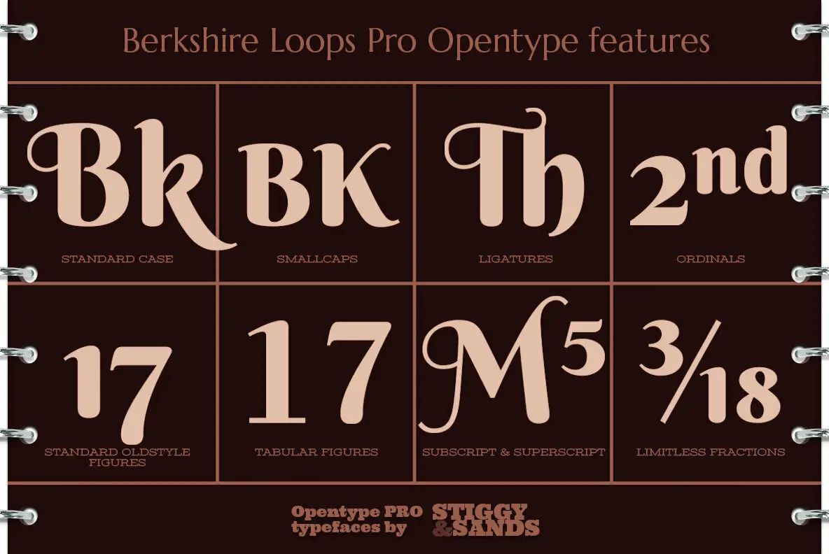 Berkshire Pro Font - YouWorkForThem