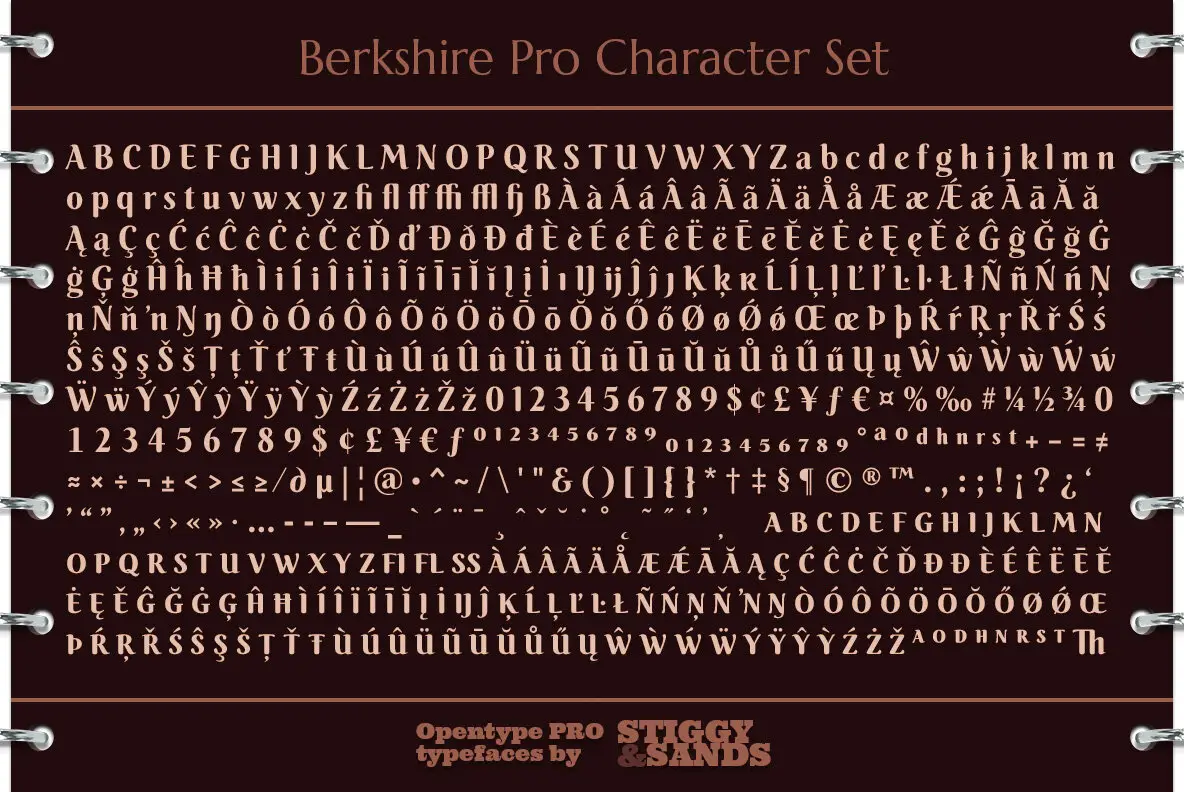 Berkshire Pro Font - YouWorkForThem
