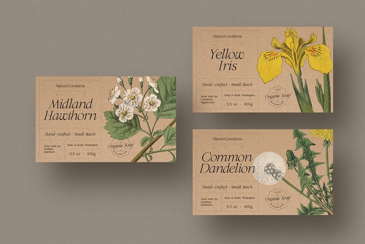 Olive and Figs Font - FontPath