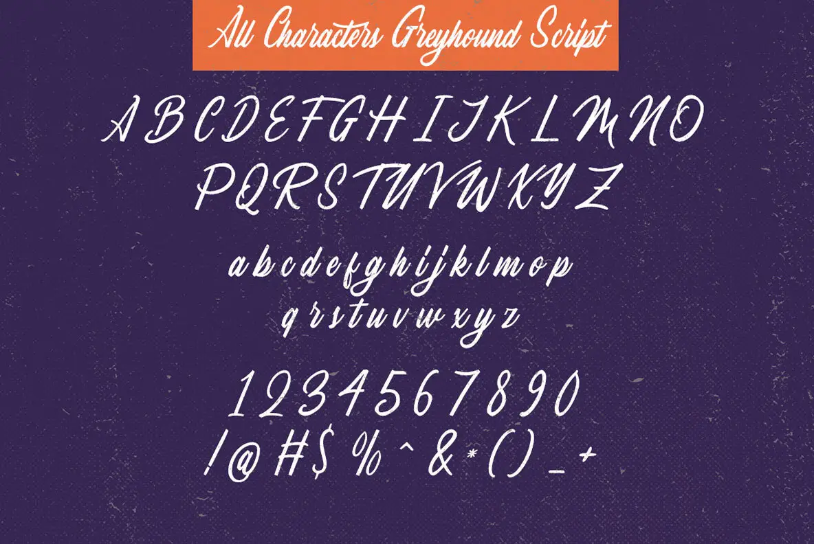 The Greyhound Font Duo - YouWorkForThem