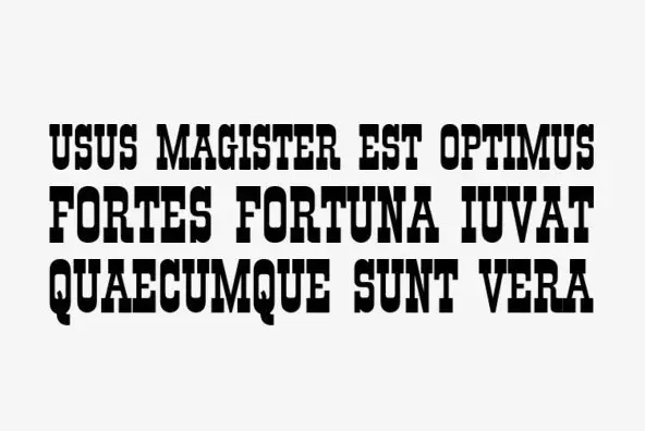 Old Towne No. 536 Font - FontPath