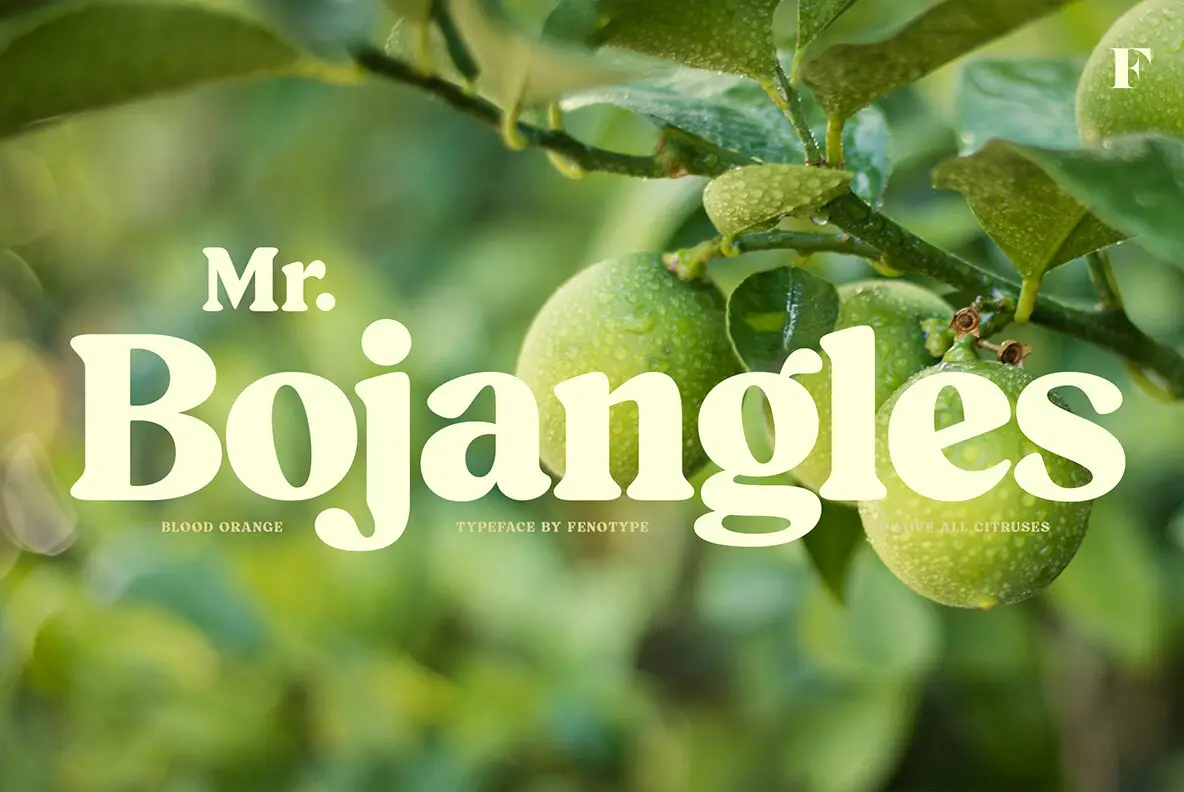 Blood Orange Font - YouWorkForThem