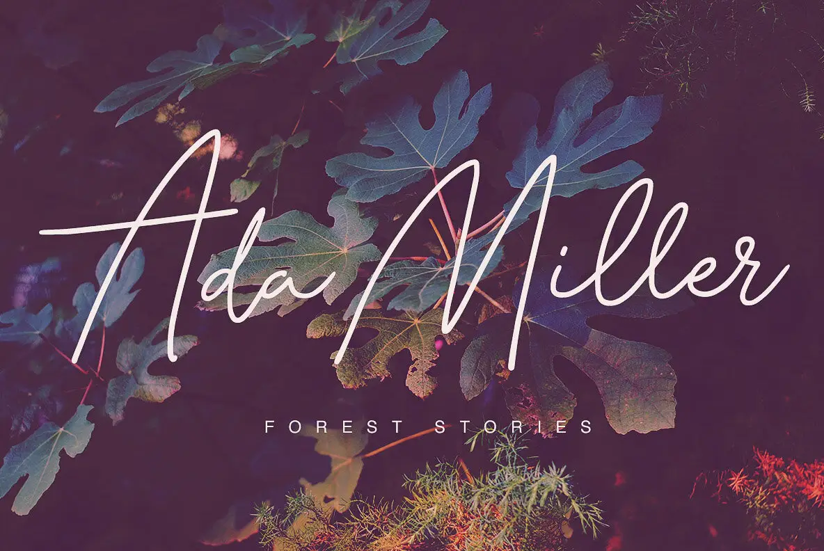Bonita Melodia Font - YouWorkForThem