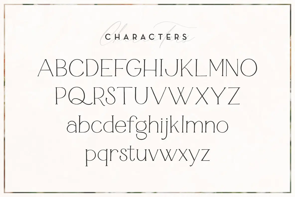 Rosemarie Font - YouWorkForThem