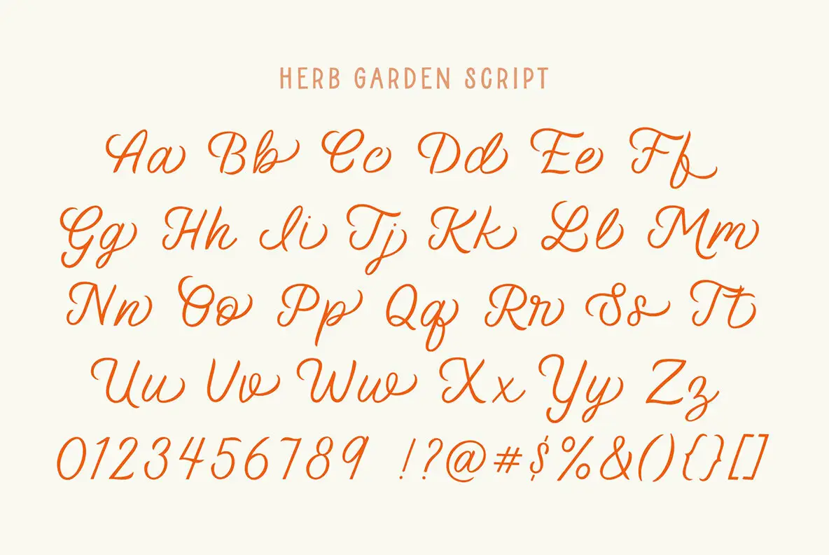 Herb Garden Font Trio - YouWorkForThem