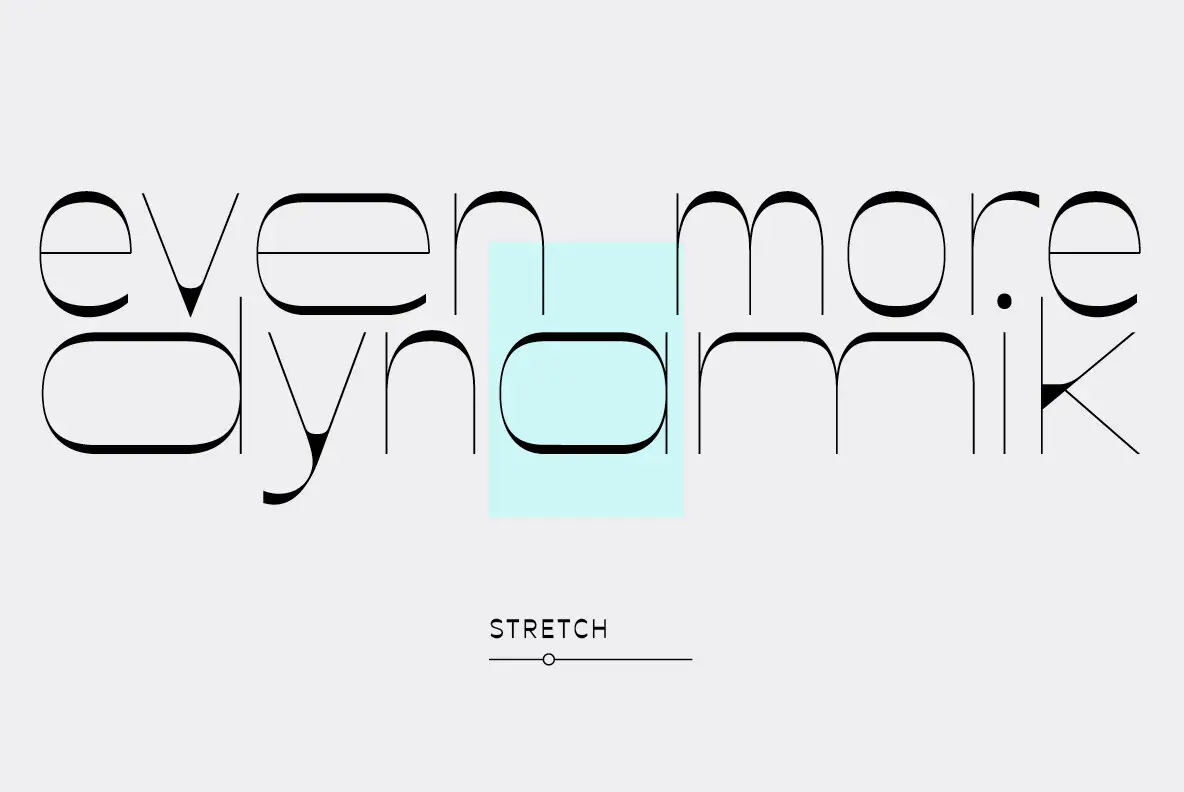 Antipol Variable Font - YouWorkForThem