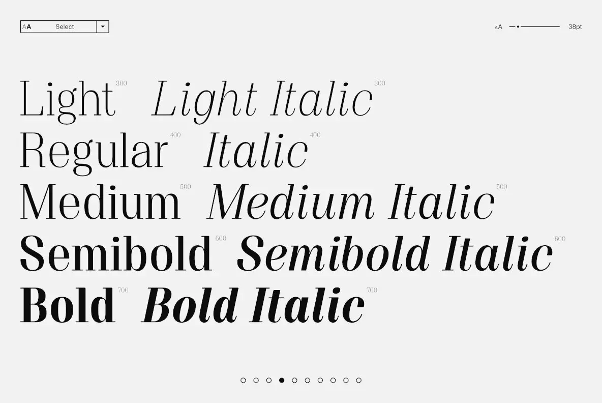 Proto Serif Font - YouWorkForThem