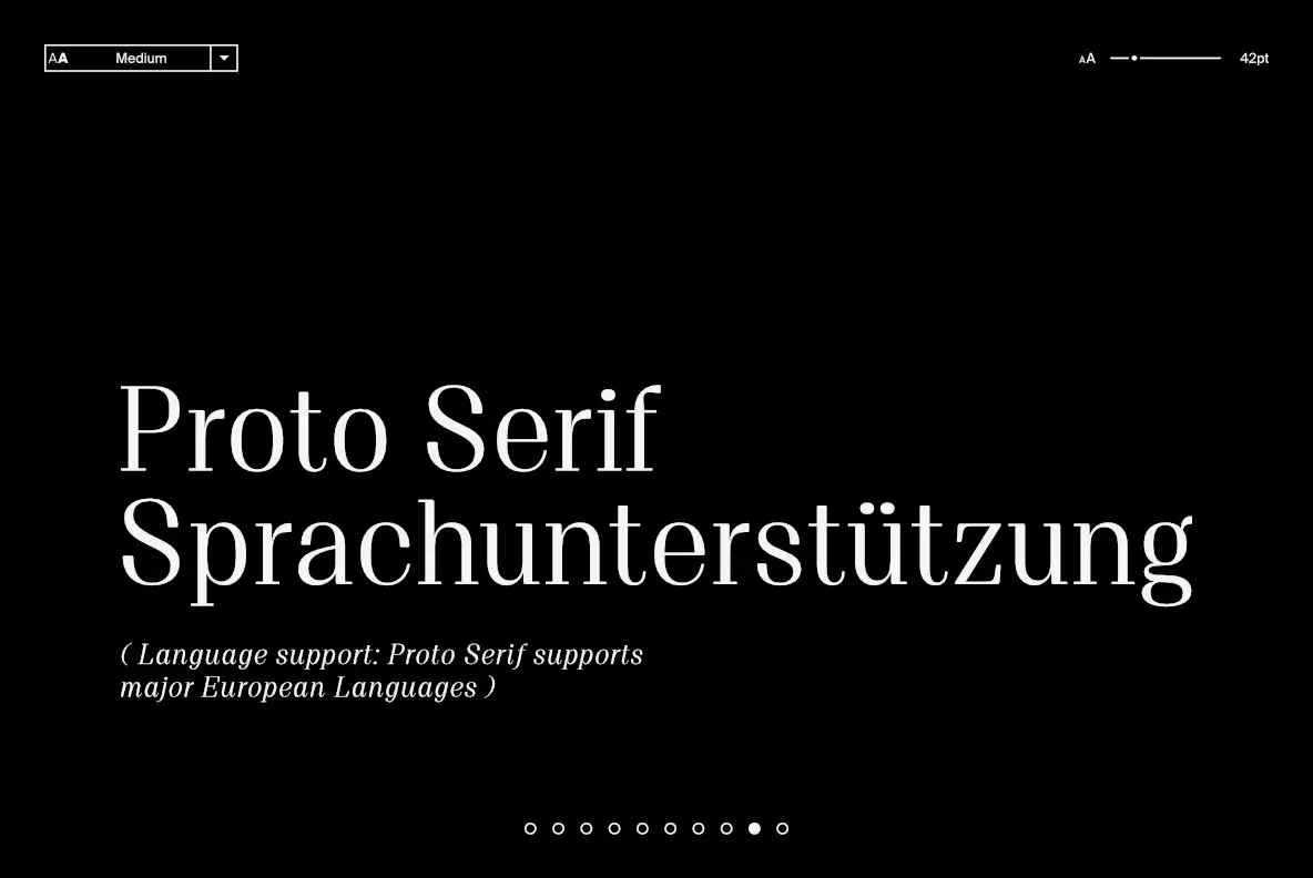 Proto Serif Font - YouWorkForThem