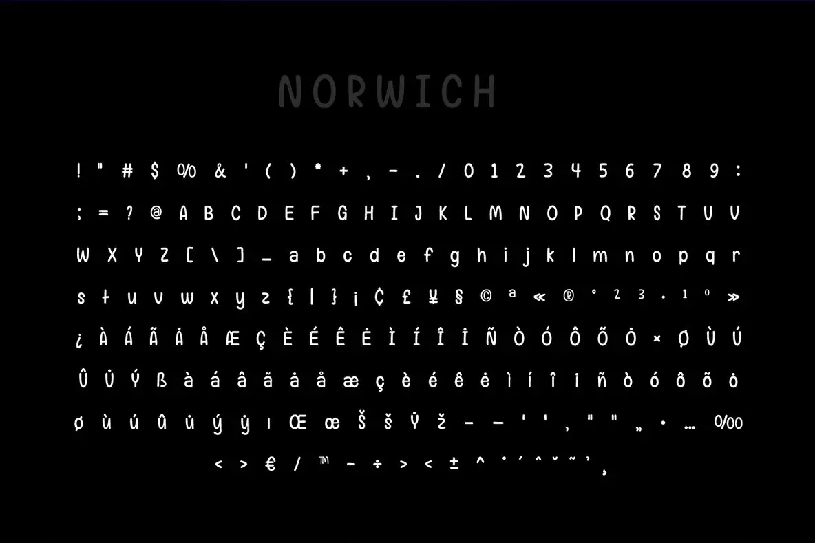 Norwich Typeface Font - YouWorkForThem