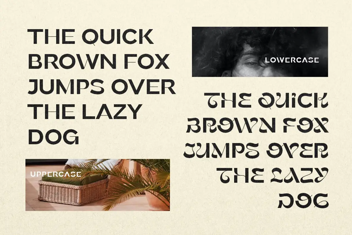Awards Font - YouWorkForThem