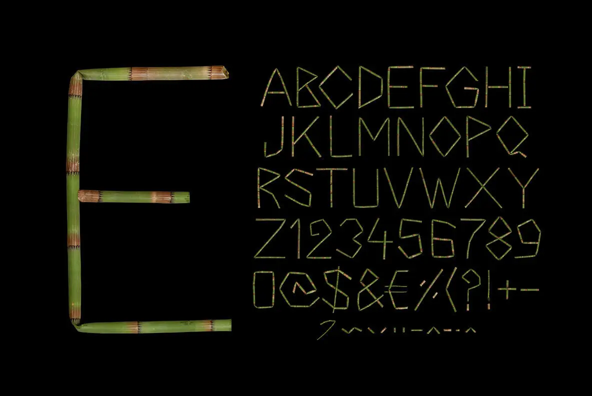 Bamboo SVG Font - YouWorkForThem