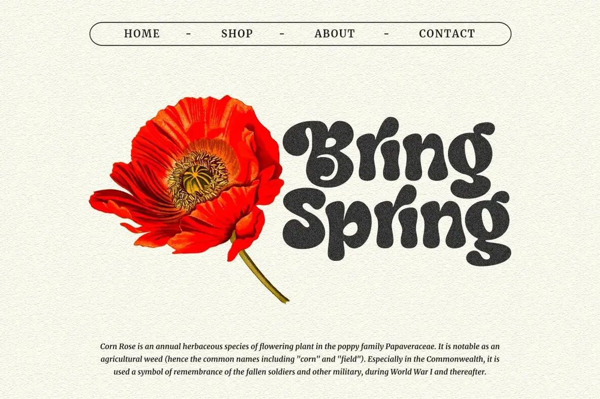 Swipe Font - YouWorkForThem