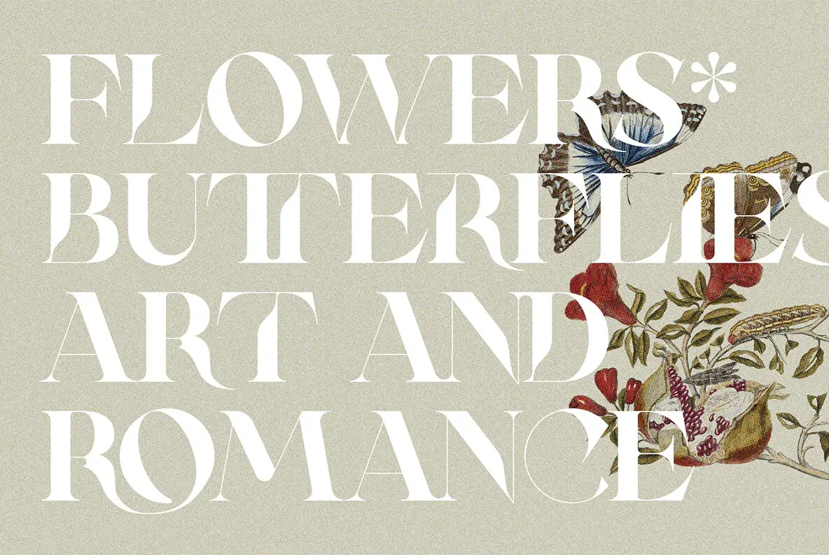 RATHER RISQUE Font - YouWorkForThem